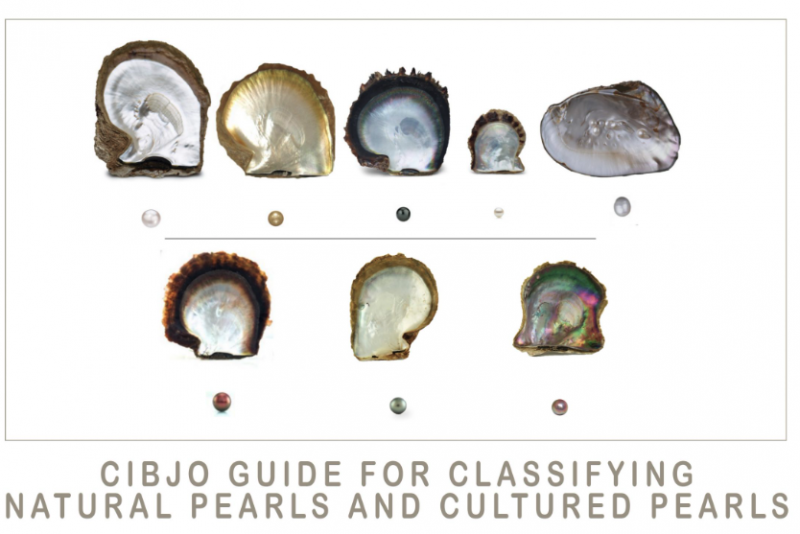 The Guidelines - CIBJO