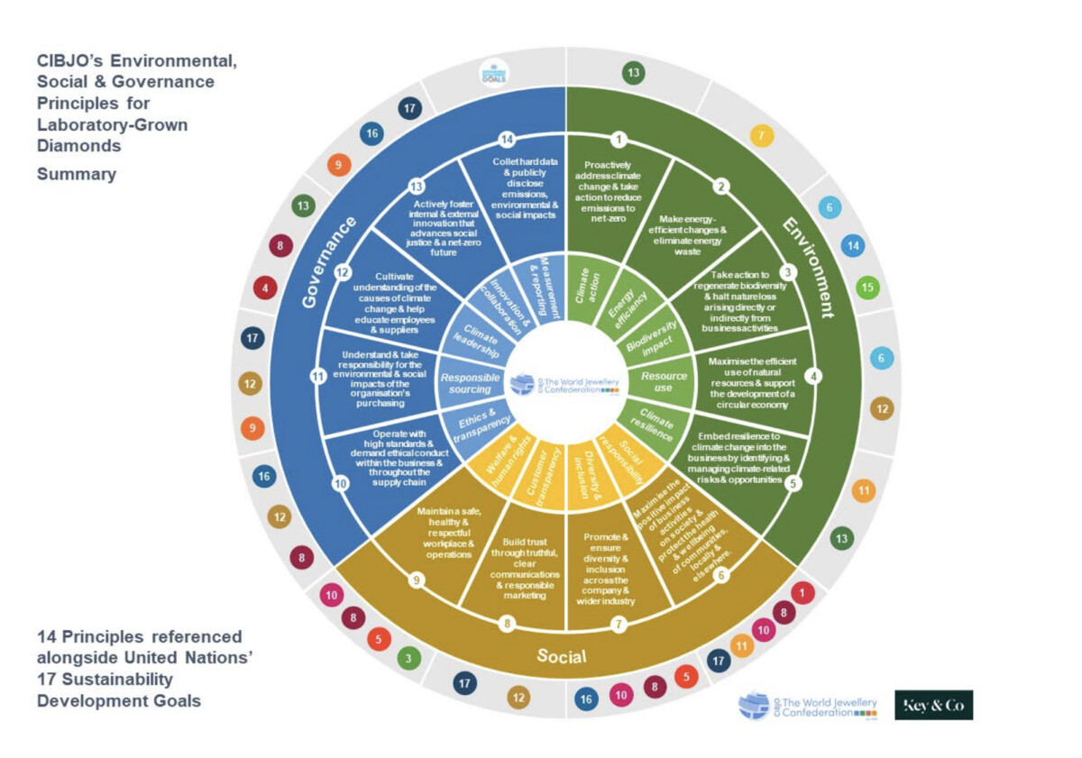 Environmental, Social and Governance Principles for Laboratory-Grown ...