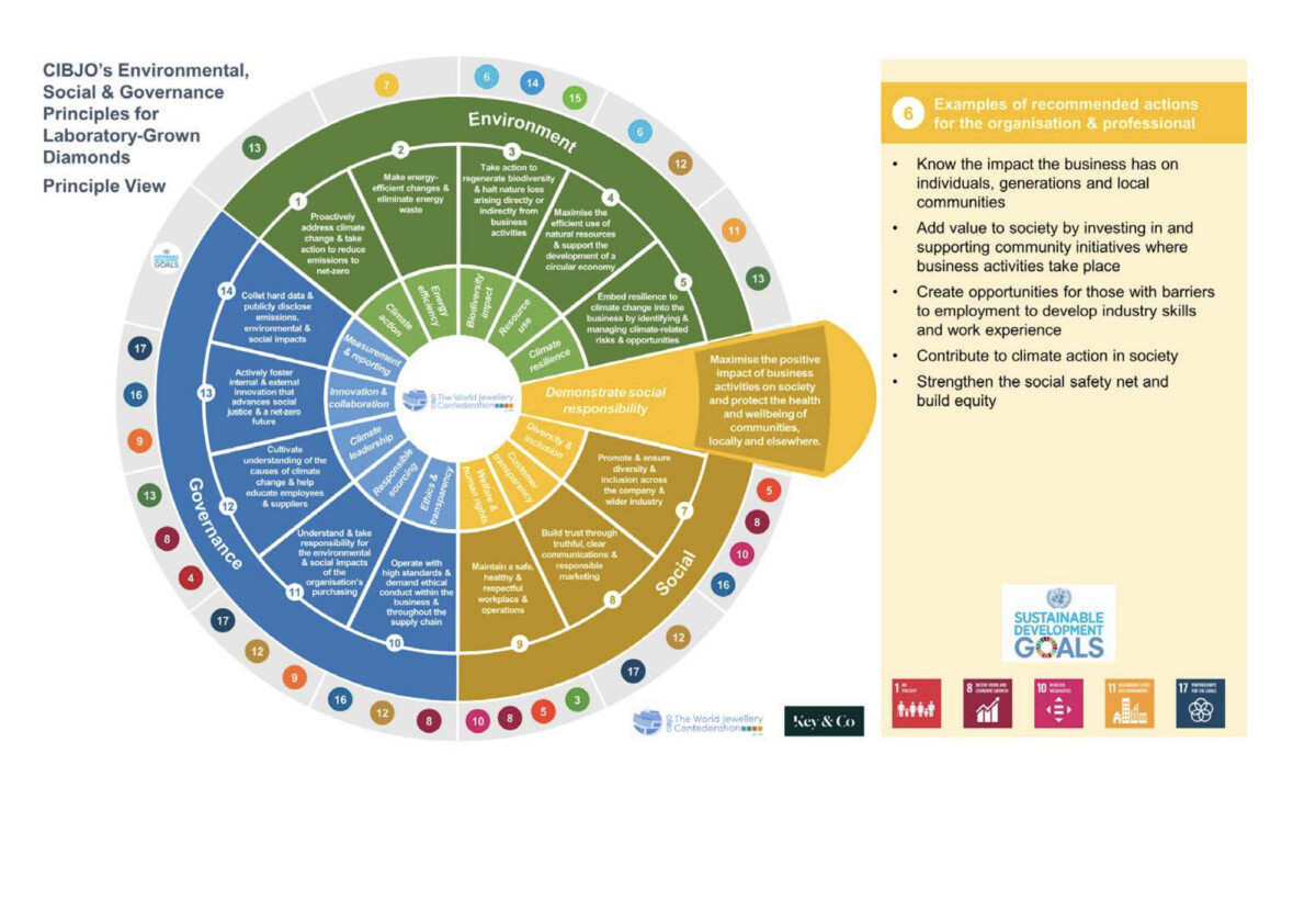 Environmental, Social and Governance Principles for Laboratory-Grown ...