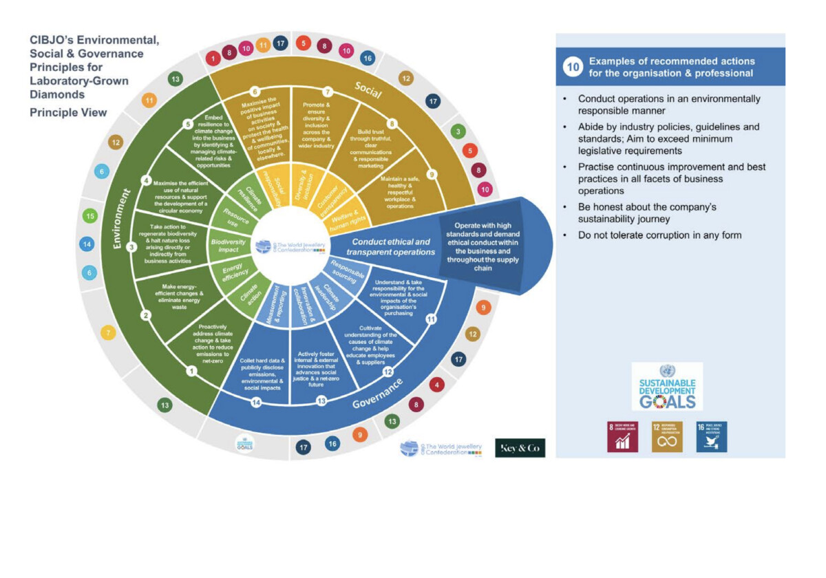 Environmental, Social and Governance Principles for Laboratory-Grown ...